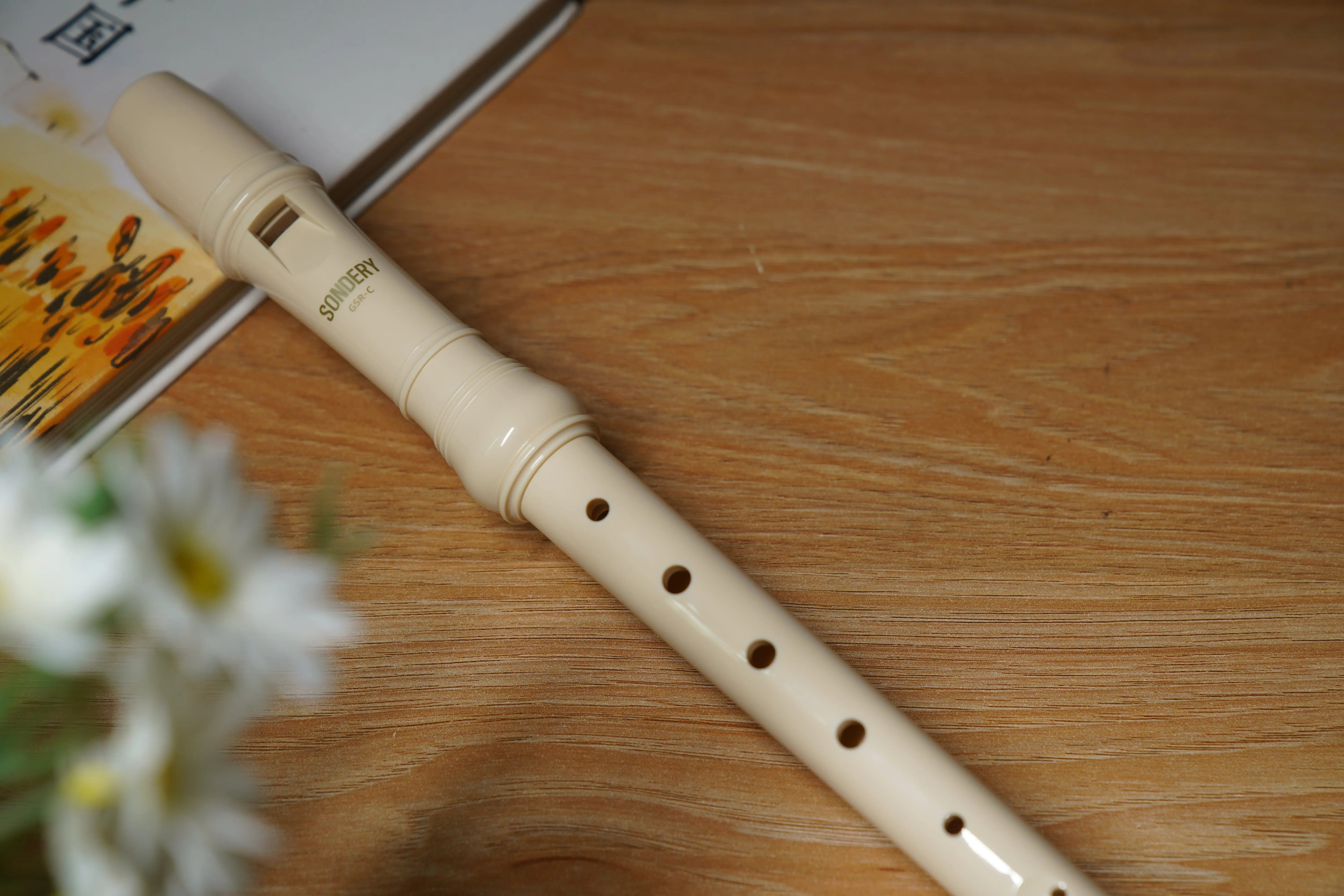 How a Recorder Works: The Science Behind the Sound | Sondery Soprano R ...