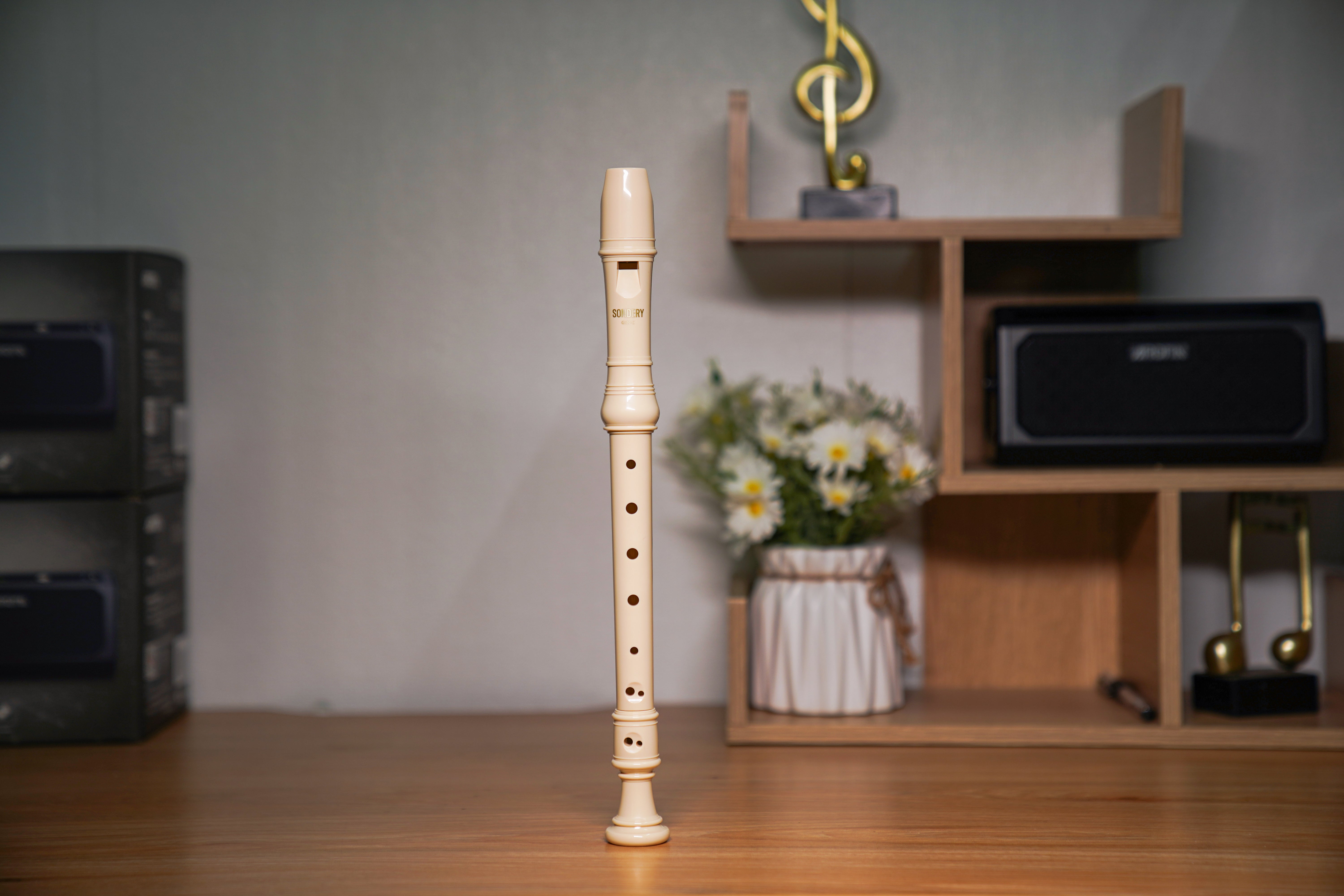 Choosing the Right Recorder: ABS vs Wood & Baroque Fingering Explained ...