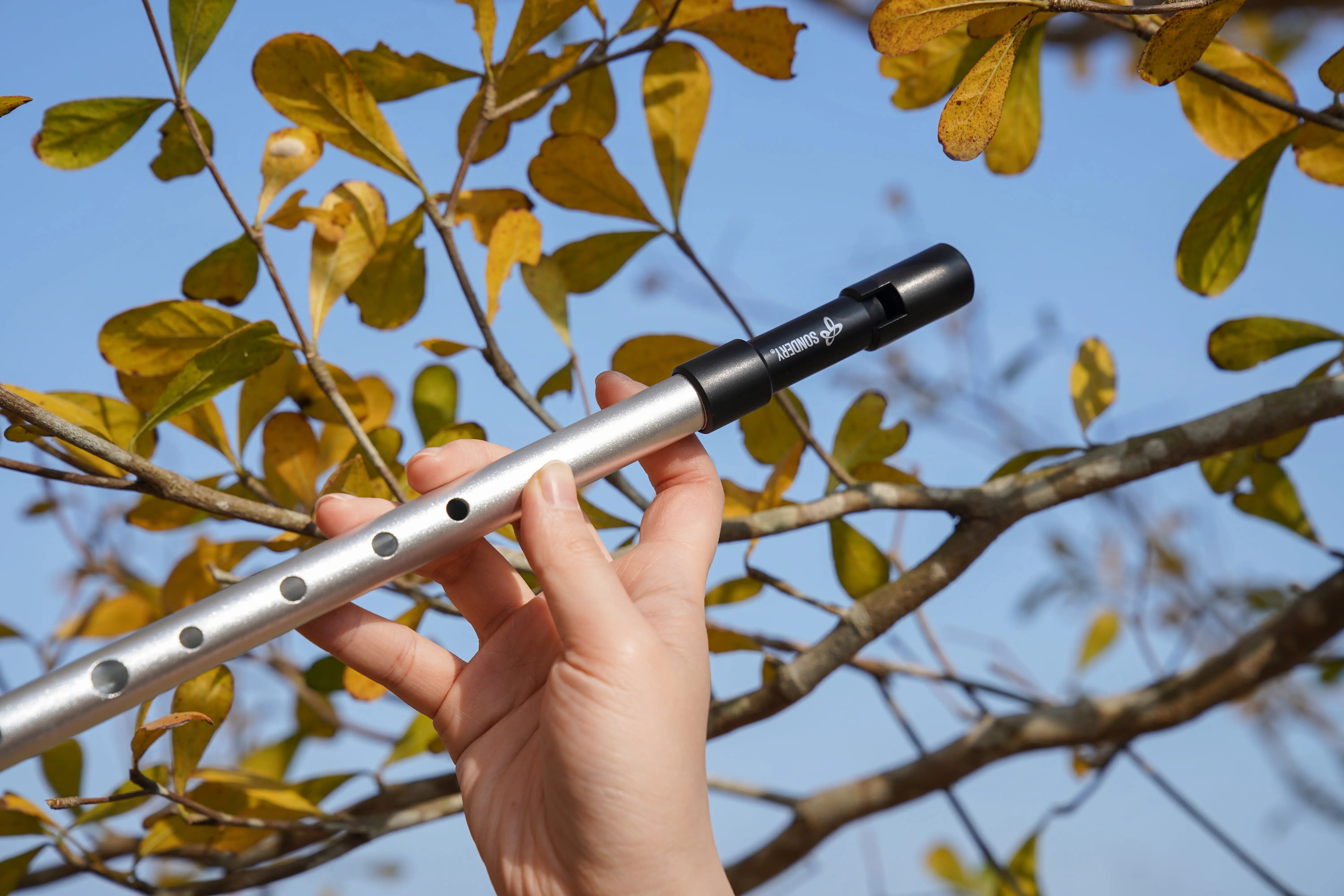 Irish Tin Whistle – Sondery C & D Keys in Gold and Silver – Sondery Music